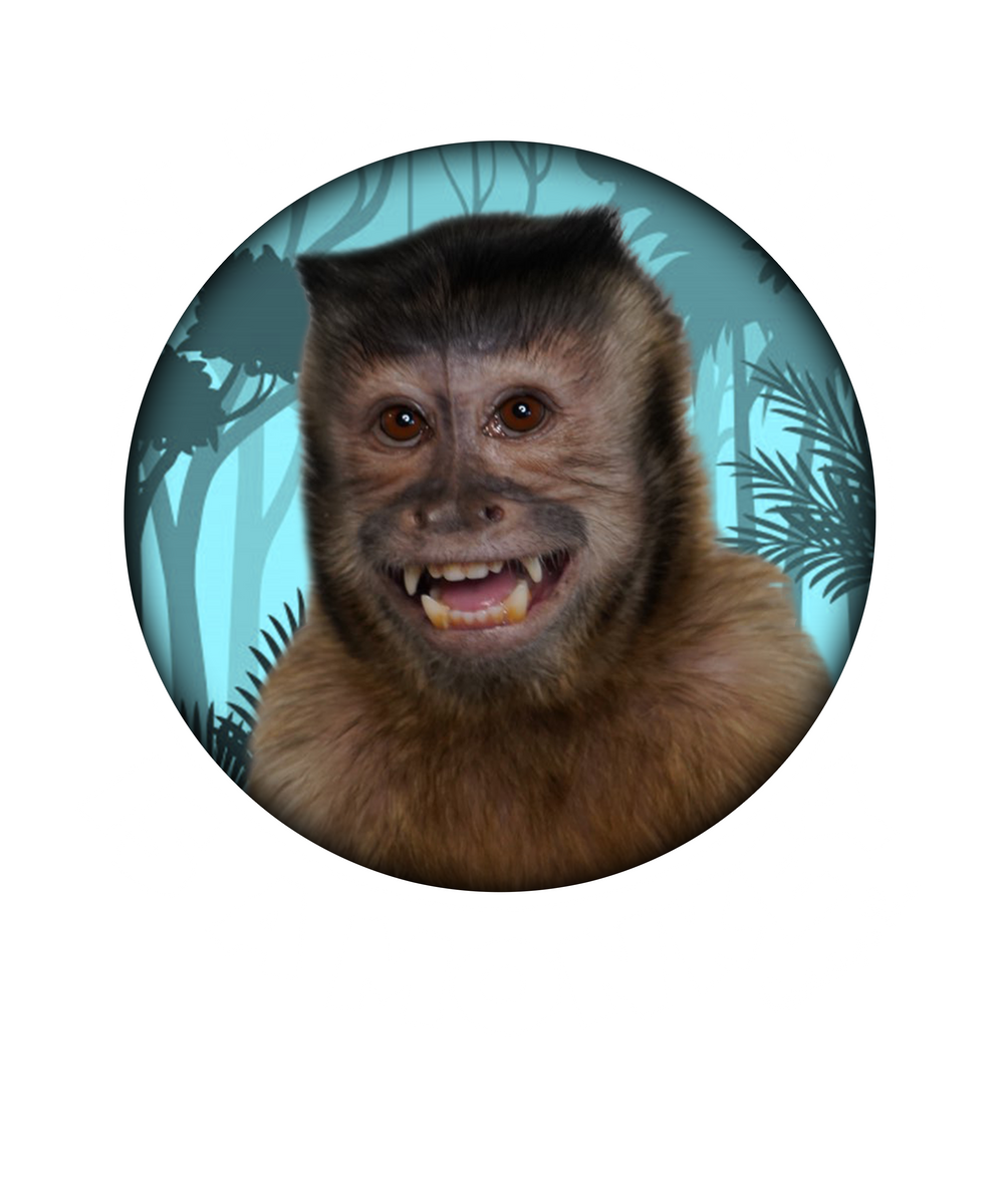 Gaitlyn Rae Gear – GaitlynRaeGear