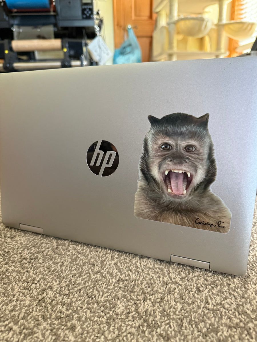 Gaitlyn Rae smiling 4.5inch UV STICKER!! – GaitlynRaeGear