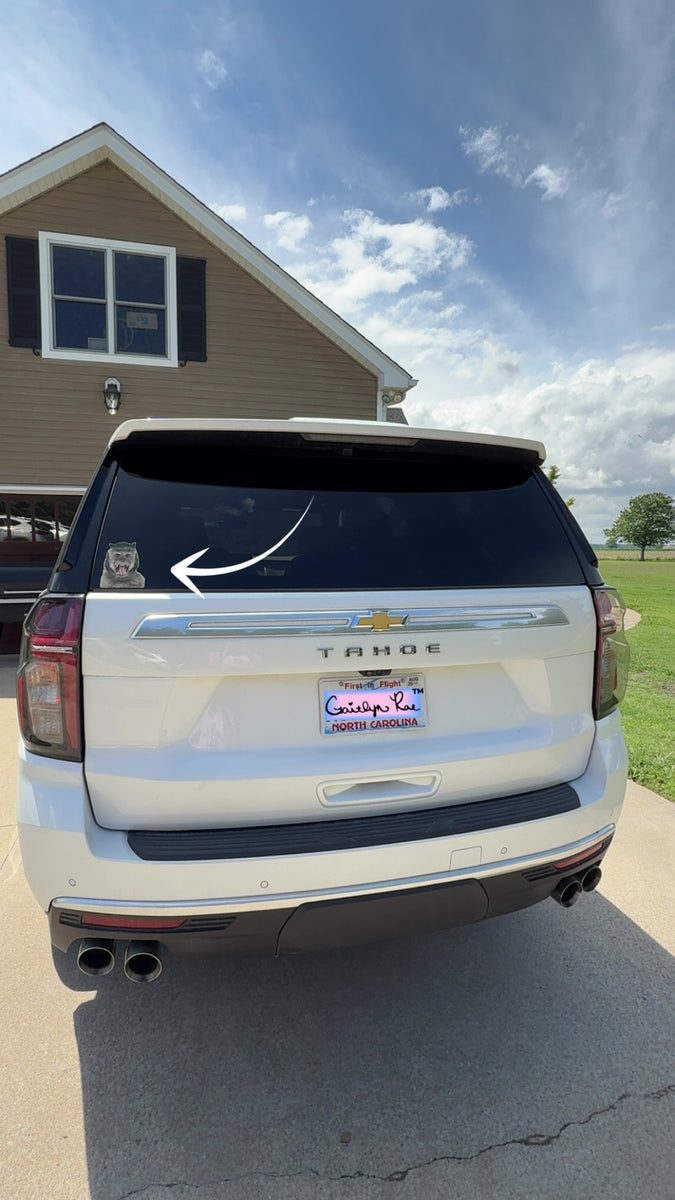 Gaitlyn Rae smiling 4.5inch UV STICKER!! – GaitlynRaeGear