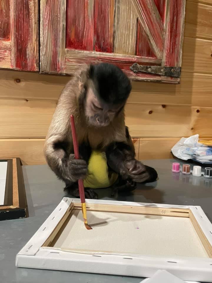 Gaitlyn Rae Canvas Painting – GaitlynRaeGear