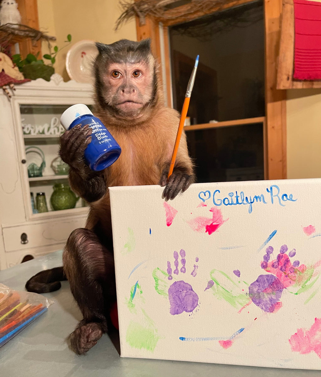 Gaitlyn Rae Canvas Painting – GaitlynRaeGear