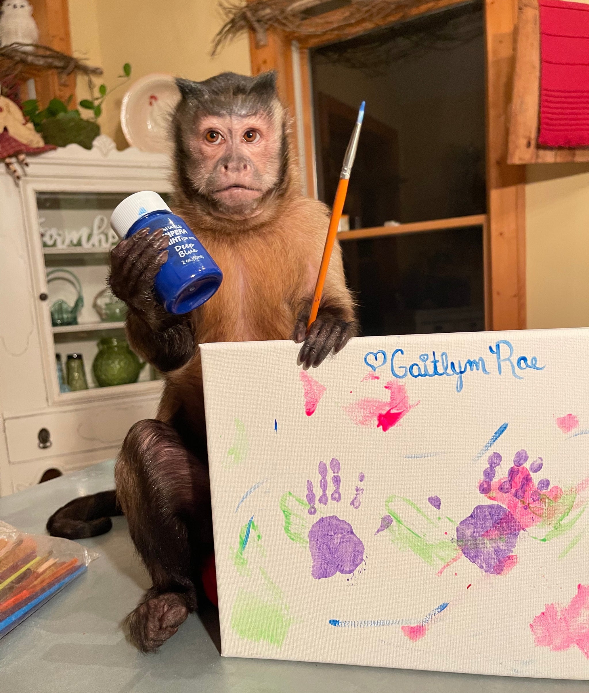 Misc – GaitlynRaeGear